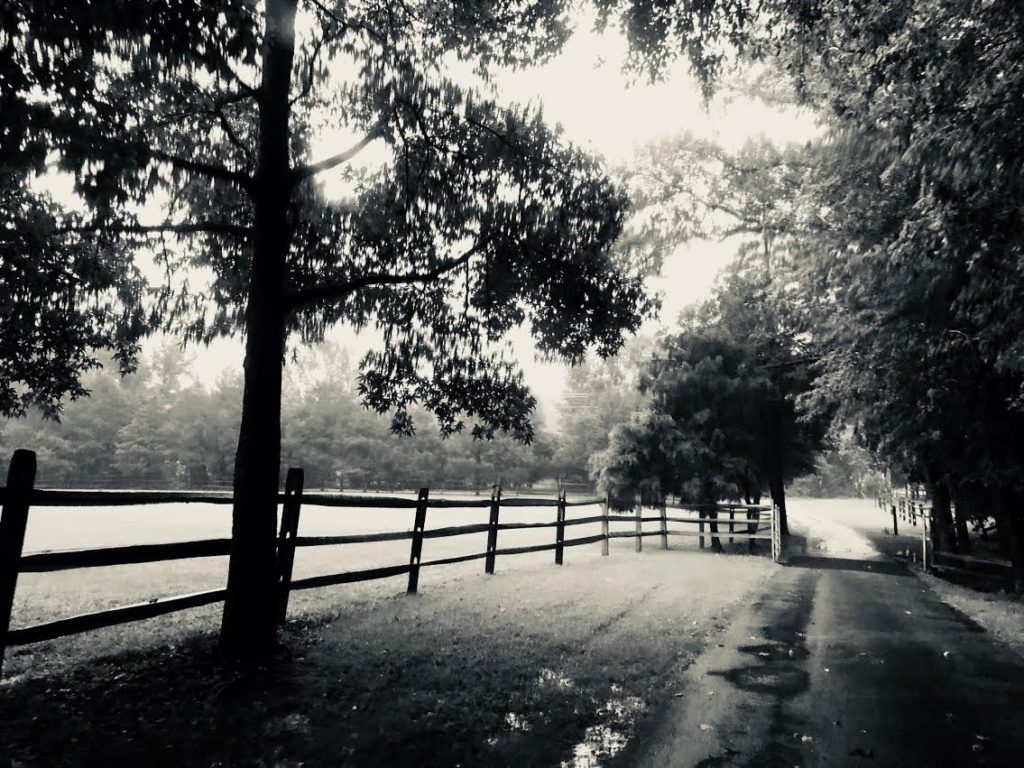 MOYAONE RESERVE @ PISCATAWAY PARK – Listed on the National Register of ...